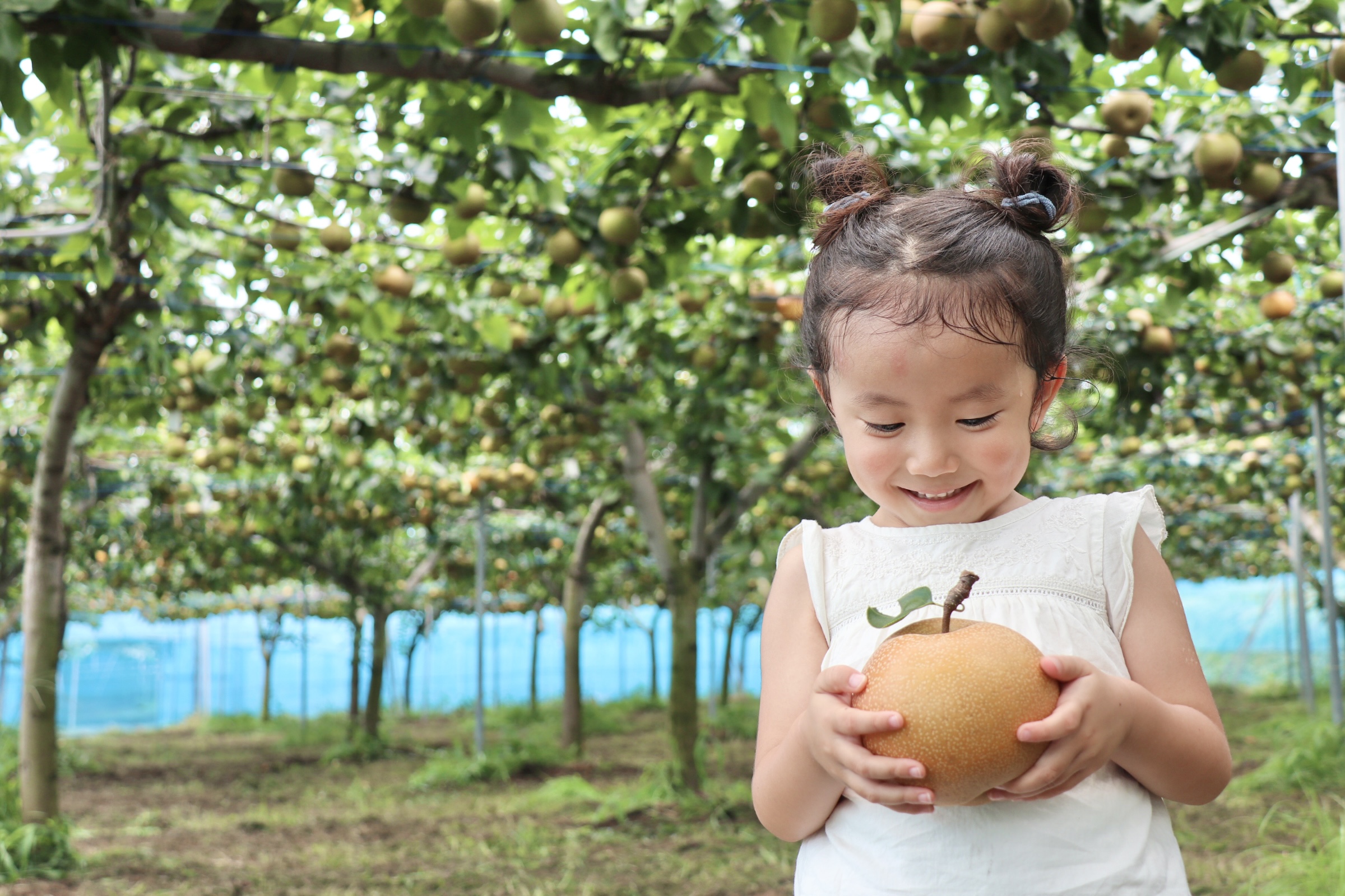 果物狩りやBBQ！秋におすすめな「横浜子連れスポット」で新たな街の魅力を発見 - LOVETABI Mama