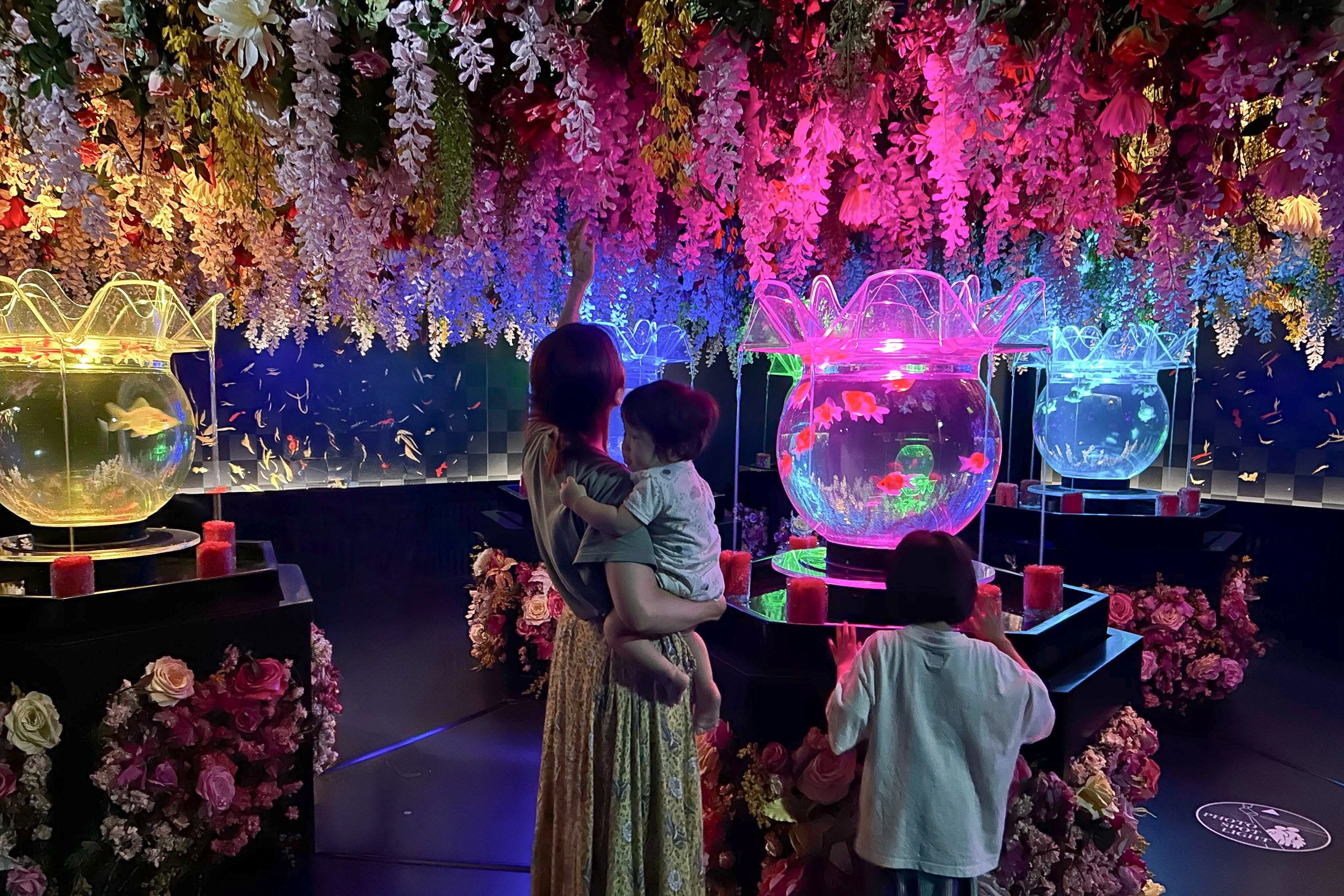 「アートアクアリウム美術館 GINZA」で夏限定イベントが開催中！子どもと楽しむ非日常アート体験 - LOVETABI Mama